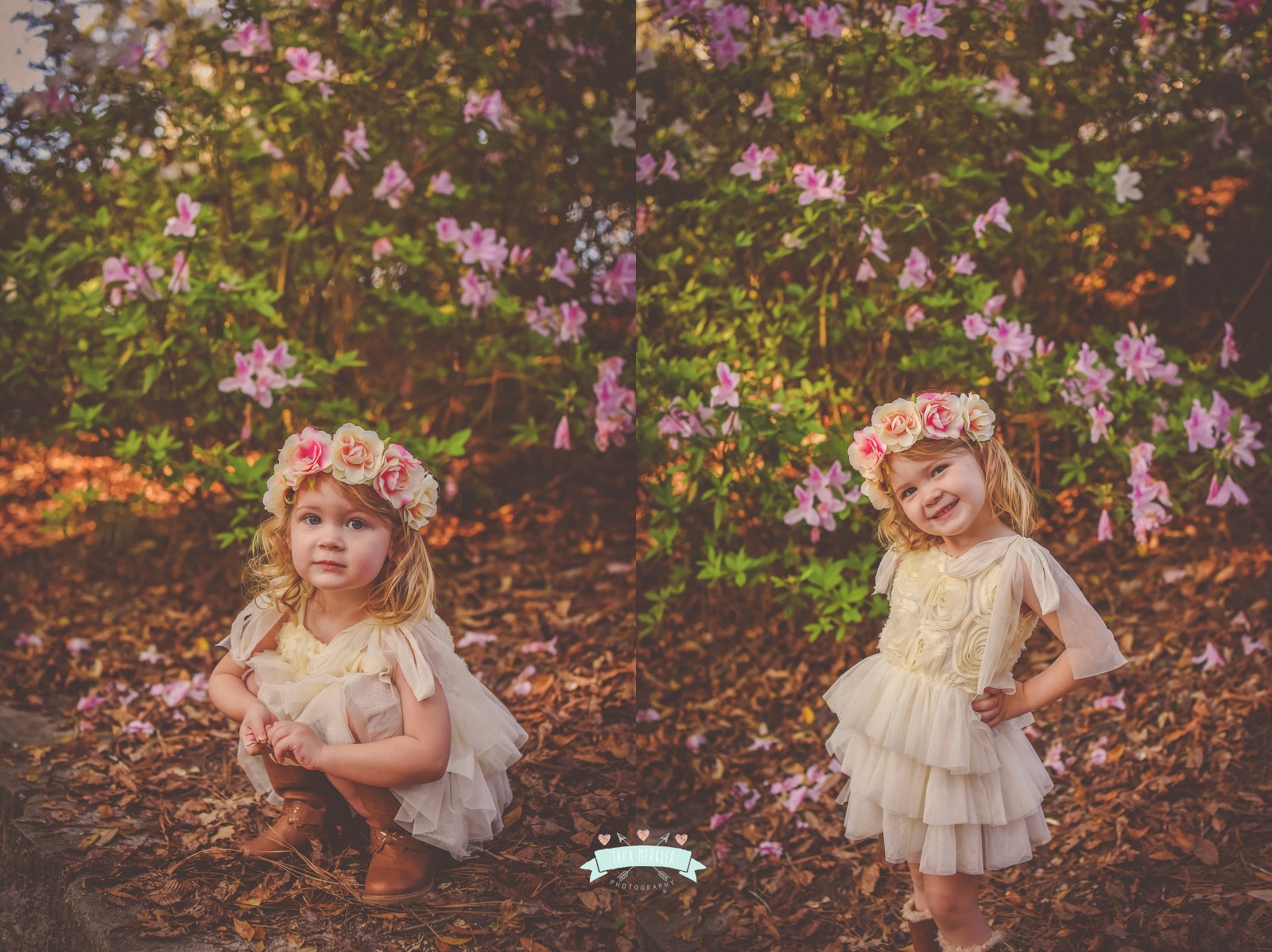 Carousel Horse Mini Sessions Part 2 | Lake Mary, Florida Children’s ...