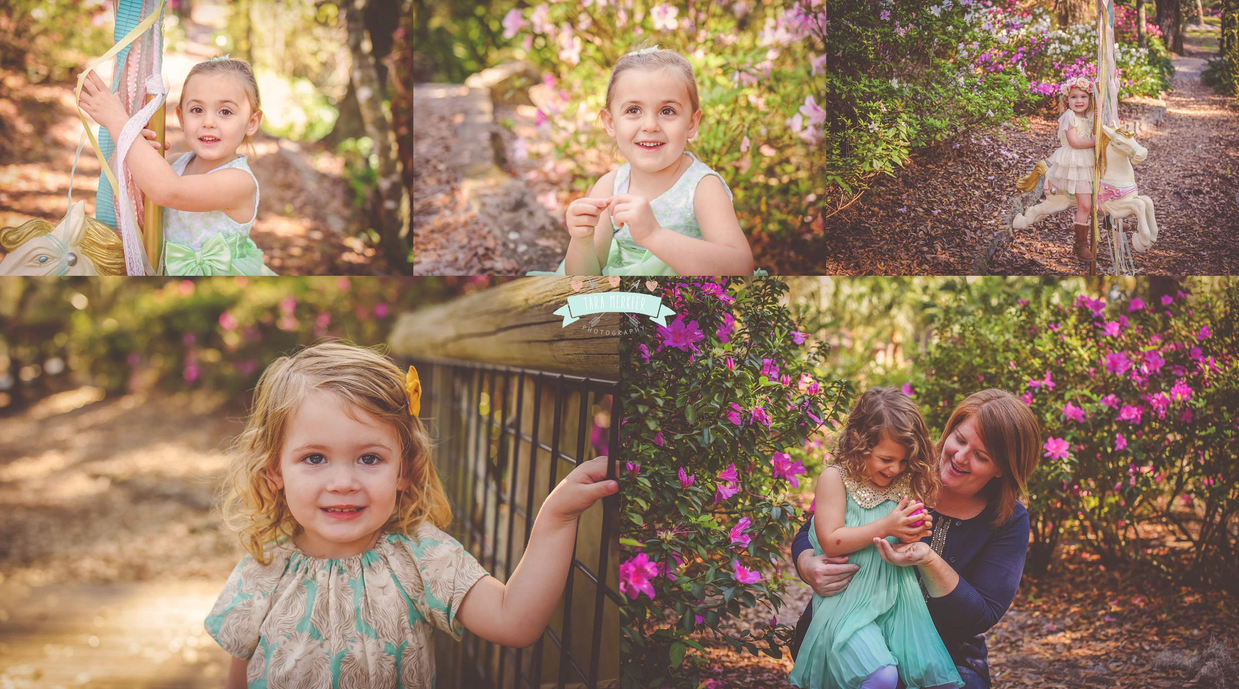 Carousel Horse Mini Sessions Part 2 | Lake Mary, Florida Children’s ...