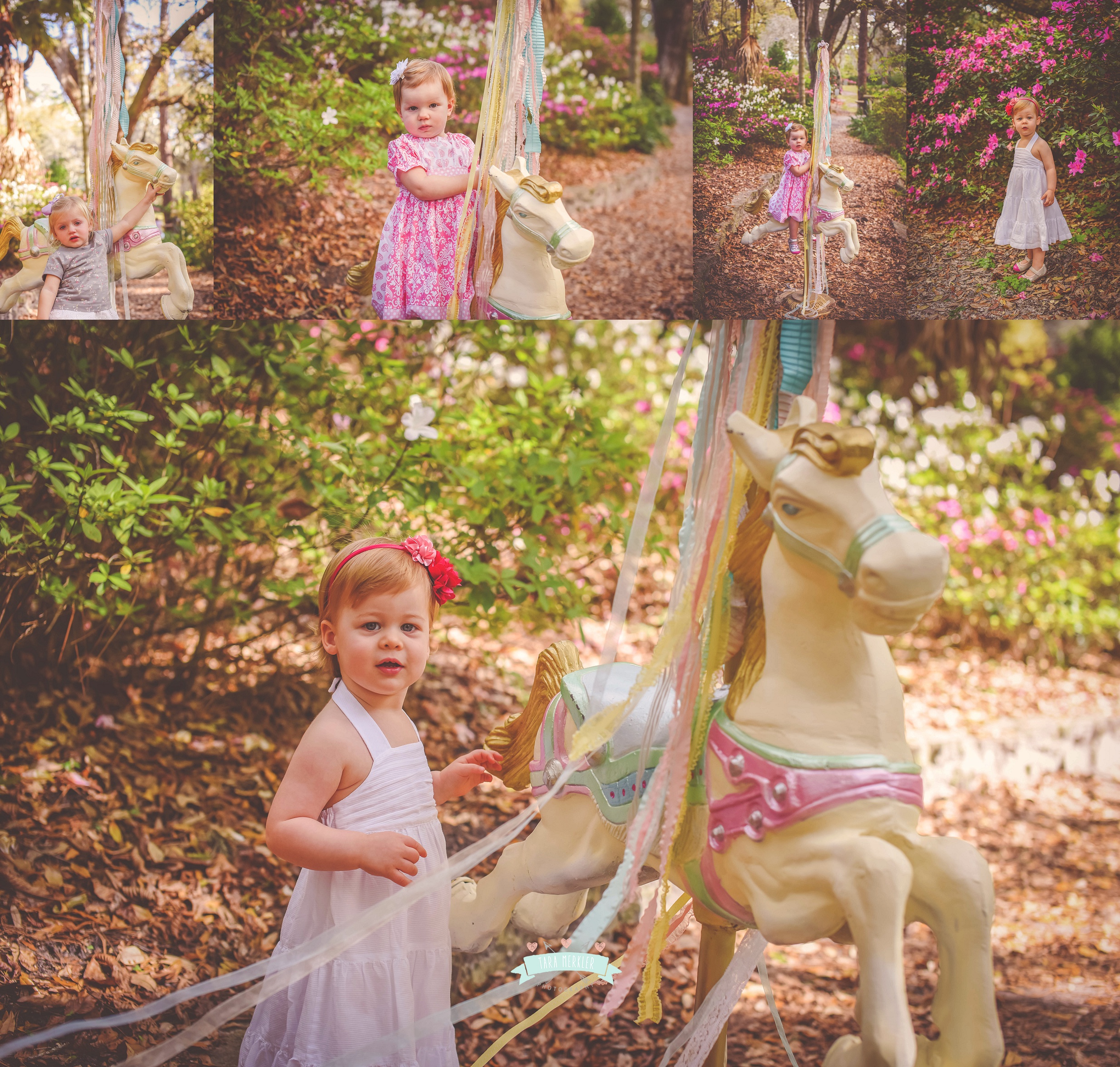 Carousel Horse Mini Sessions Part 3 | Lake Mary, Florida Children’s ...