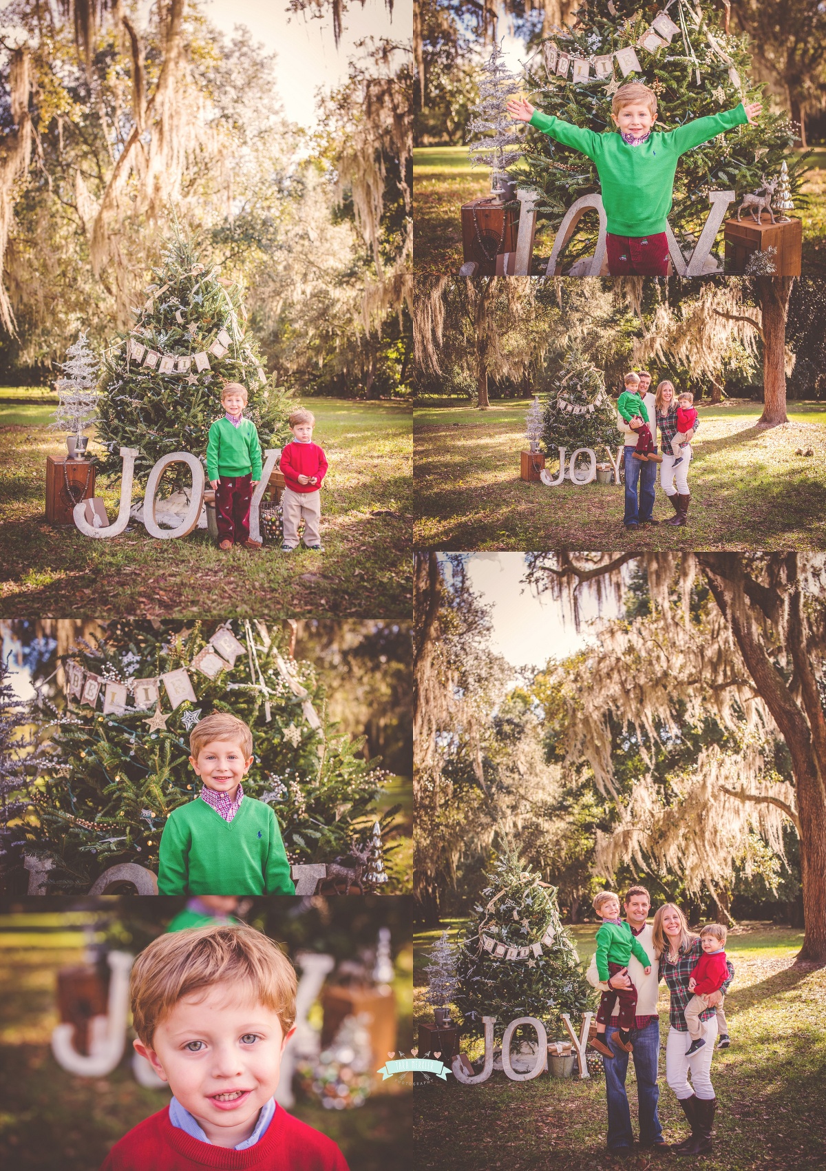 Christmas Tree Mini Sessions 2015 | Central Florida Family Photographer ...